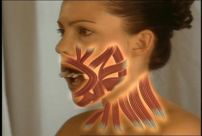 FACIAL FLEX, FACIALFLEX, GEZICHTSOEFENINGEN, NATUURLIJKE FACELIFT, NON ...